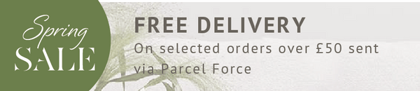 Lights | Stylish and Inviting Lighting | Fishpools